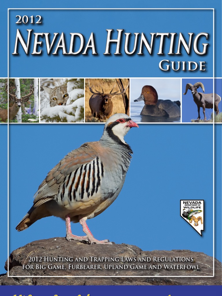 2012 Hunting Guide | PDF | Shotgun | Hunting