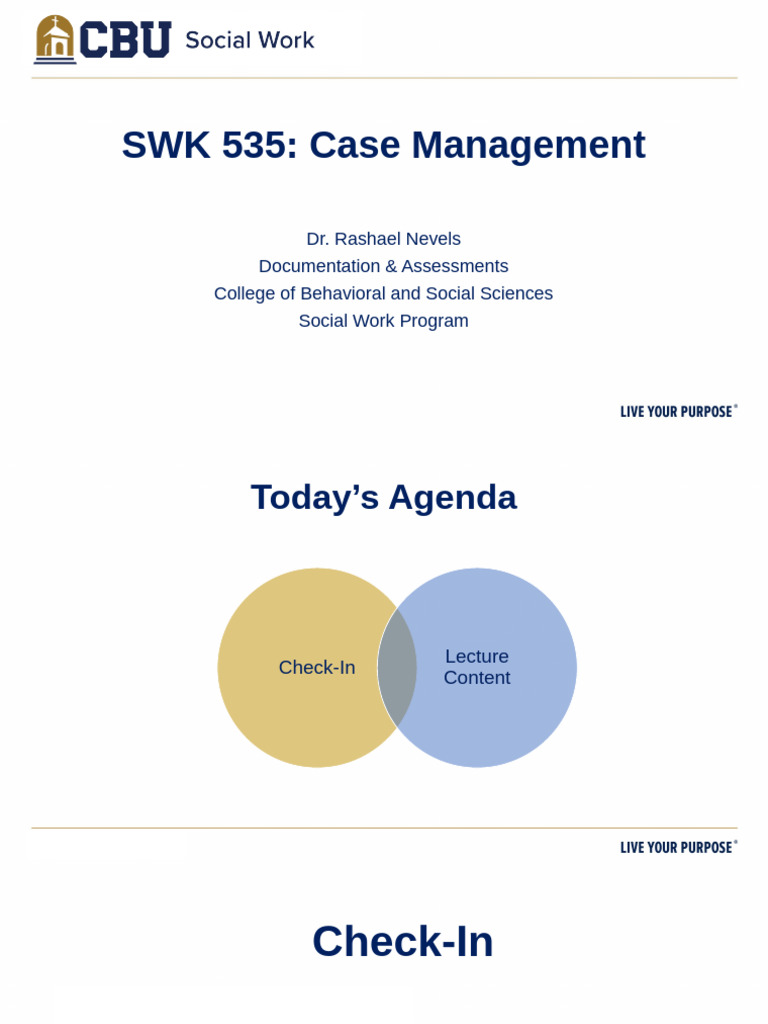 Case Management Documentation Guide | PDF | Psychological Concepts ...