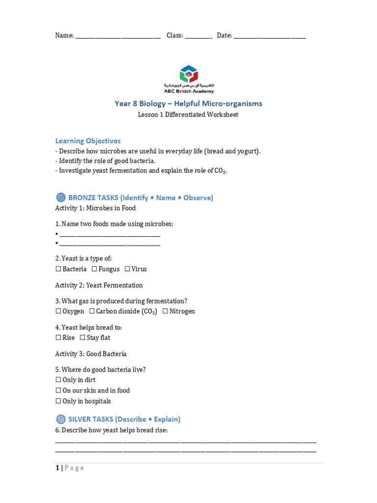 Year 8 Biology Helpful Microorganisms Differentiated Worksheet (1 ...