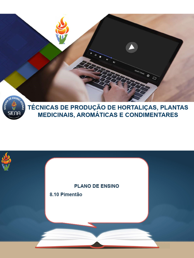 8.10 - PIMENTÃO - 2025.2 - ENTREGUE AOS ALUNOS | PDF | Fertilizante | Pimentão