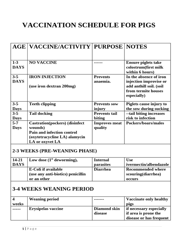 Vaccination Schedule For Pigs | PDF | Pig | Vaccines