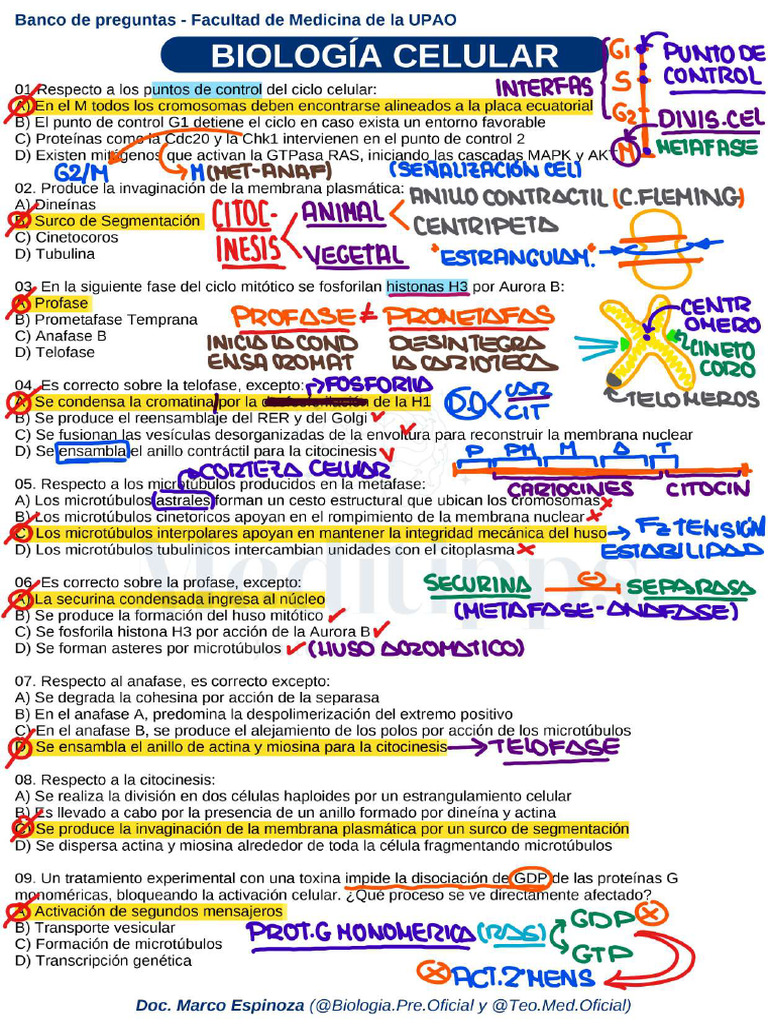 Repaso Biocel Susti Final - Doc. Marco Espinoza | PDF