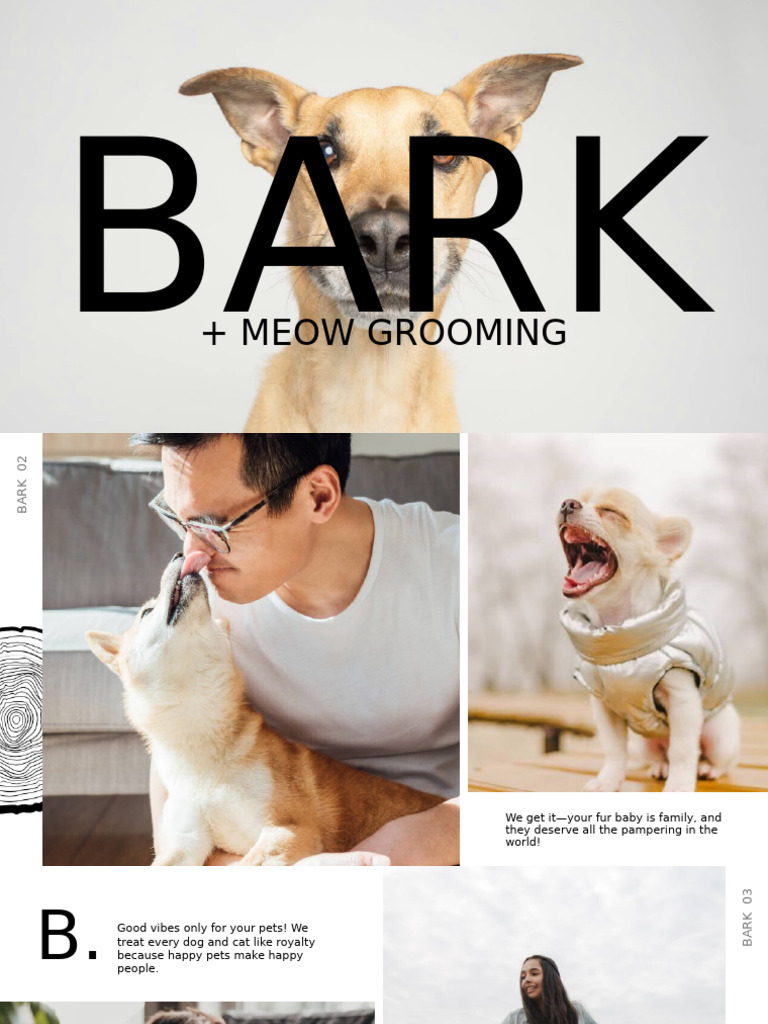 Presentation 3 | PDF