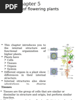 Anatomy of Flowering Plant Tissues | PDF | Anatomy | Plants