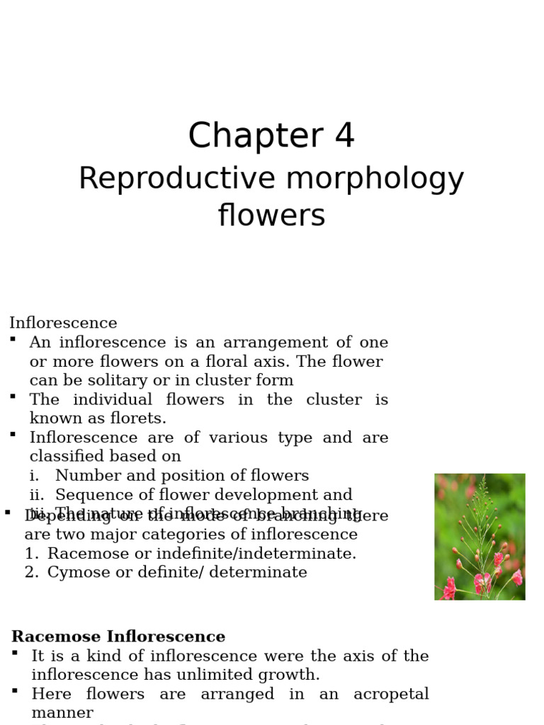 Floral Morphology and Reproduction | PDF | Flowers | Sexual Reproduction