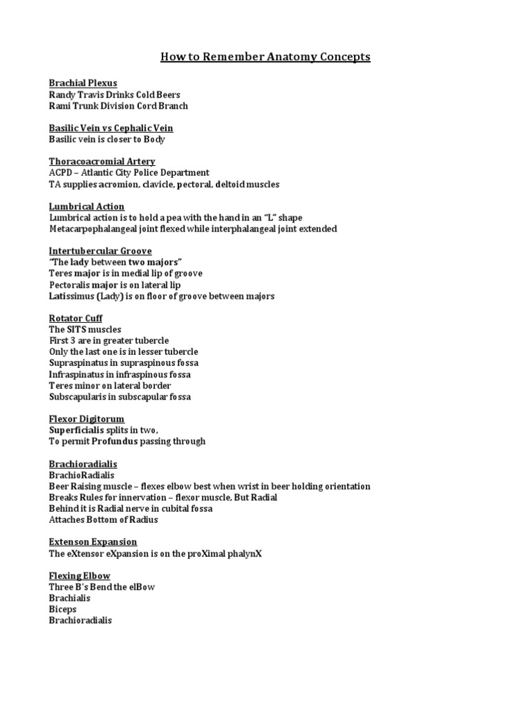 Anatomy Mnemonics Back Limbs | PDF