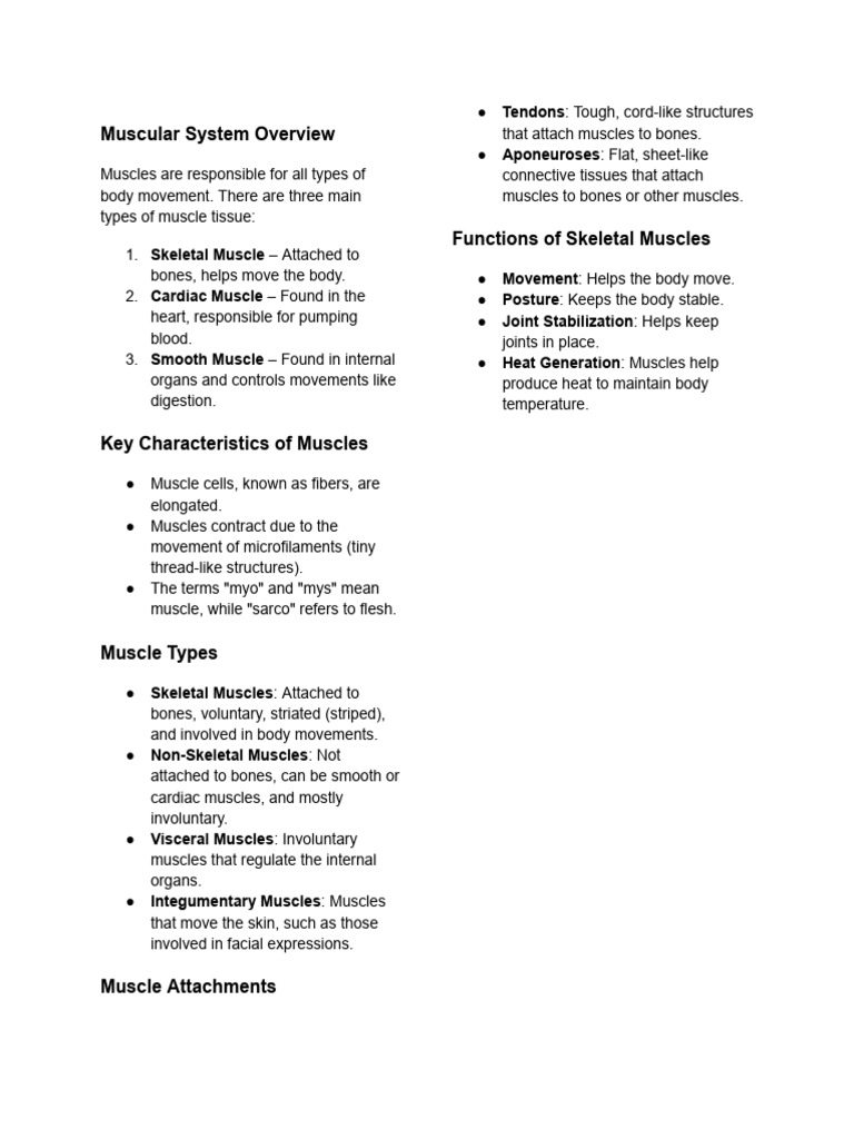 Muscular System: Types and Functions | PDF
