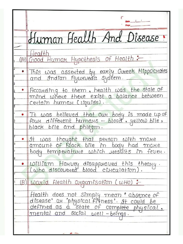 Image to PDF 20251201 13.59.56 | PDF