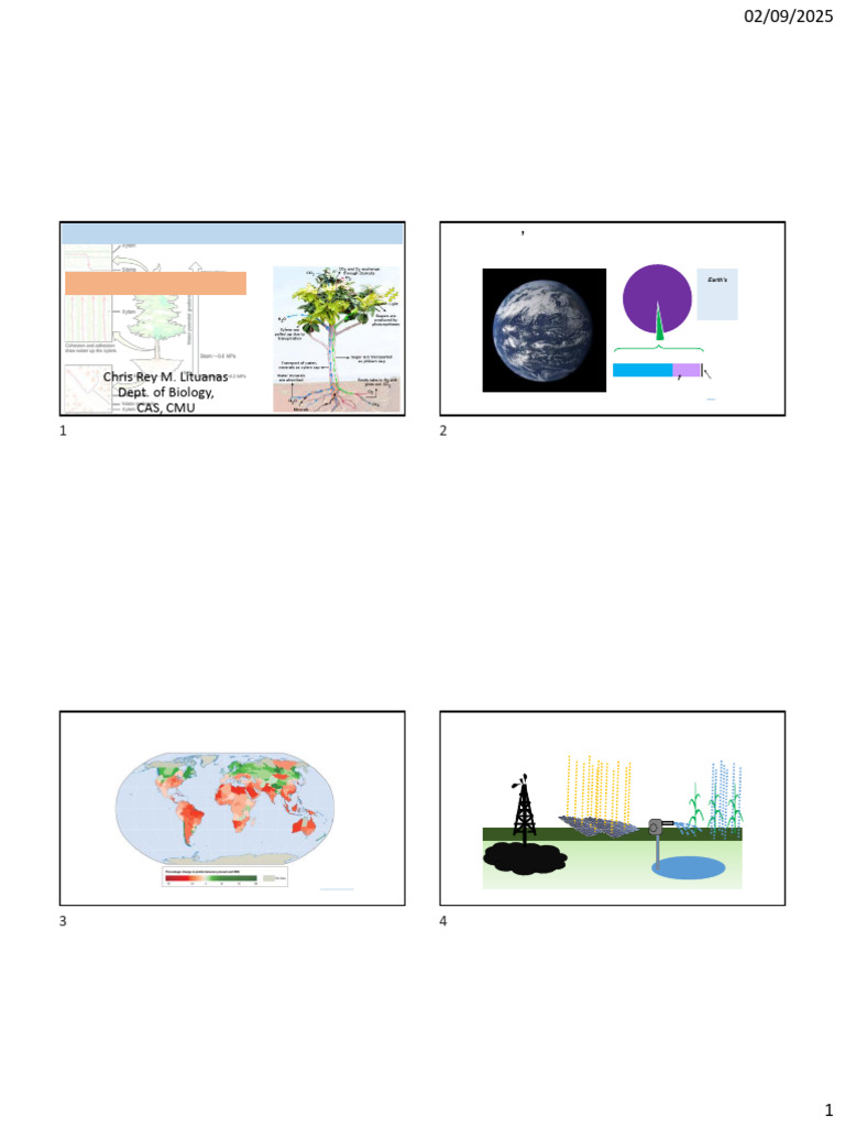 3 Soil and Plant Water Absorption | PDF | Nature | Earth Sciences