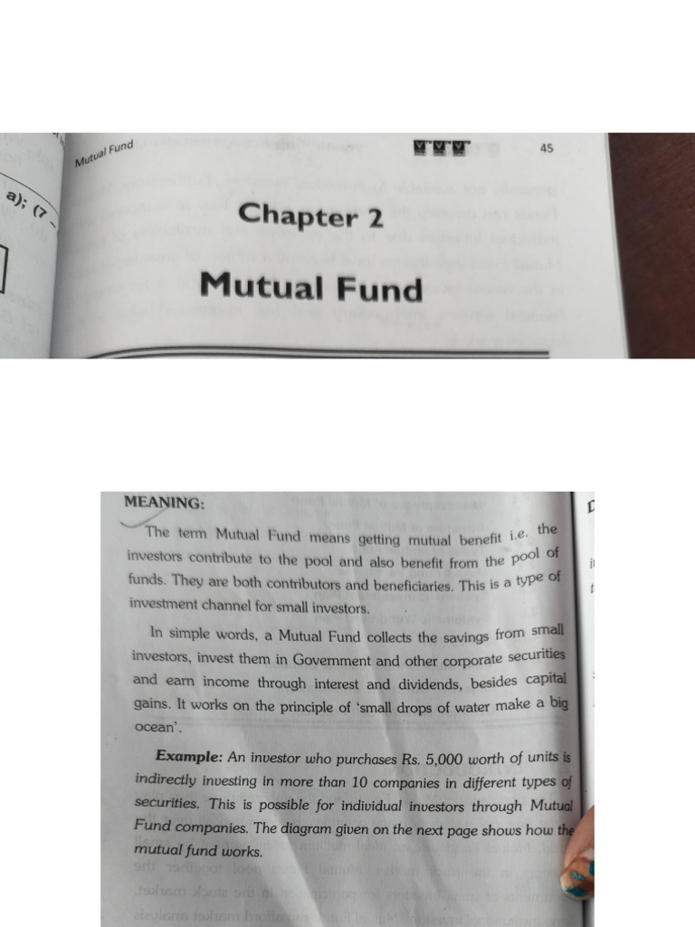 Mutual Fund | PDF
