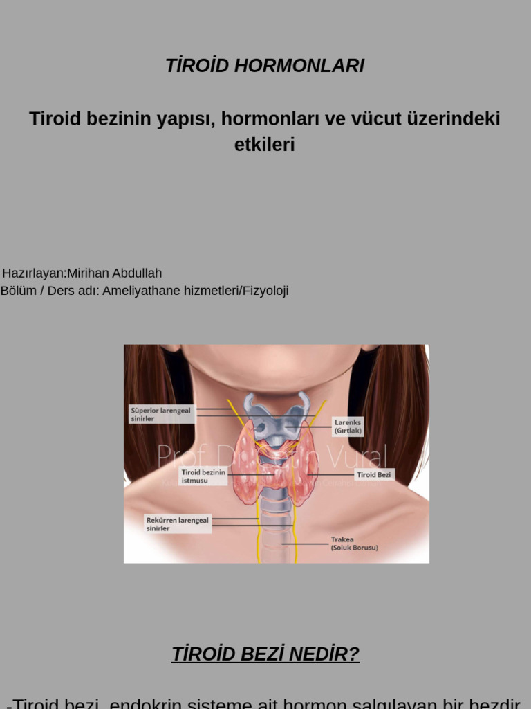 TİROİD HORMONLARI Alt Başlık Tiroid Bezinin Yapısı, Hormonları Ve Vücut ...