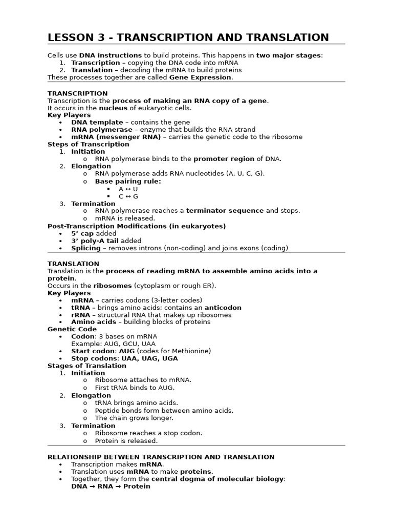 Lesson 3 Transcription and Translation | PDF | Messenger Rna ...