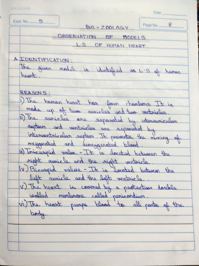 Biology Record - 4 10-Nov-2023 19-39-45(1) | PDF