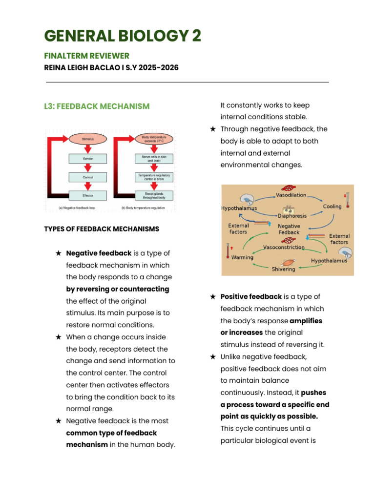Feedback Mechanisms in Biology | PDF | Feedback | Negative Feedback