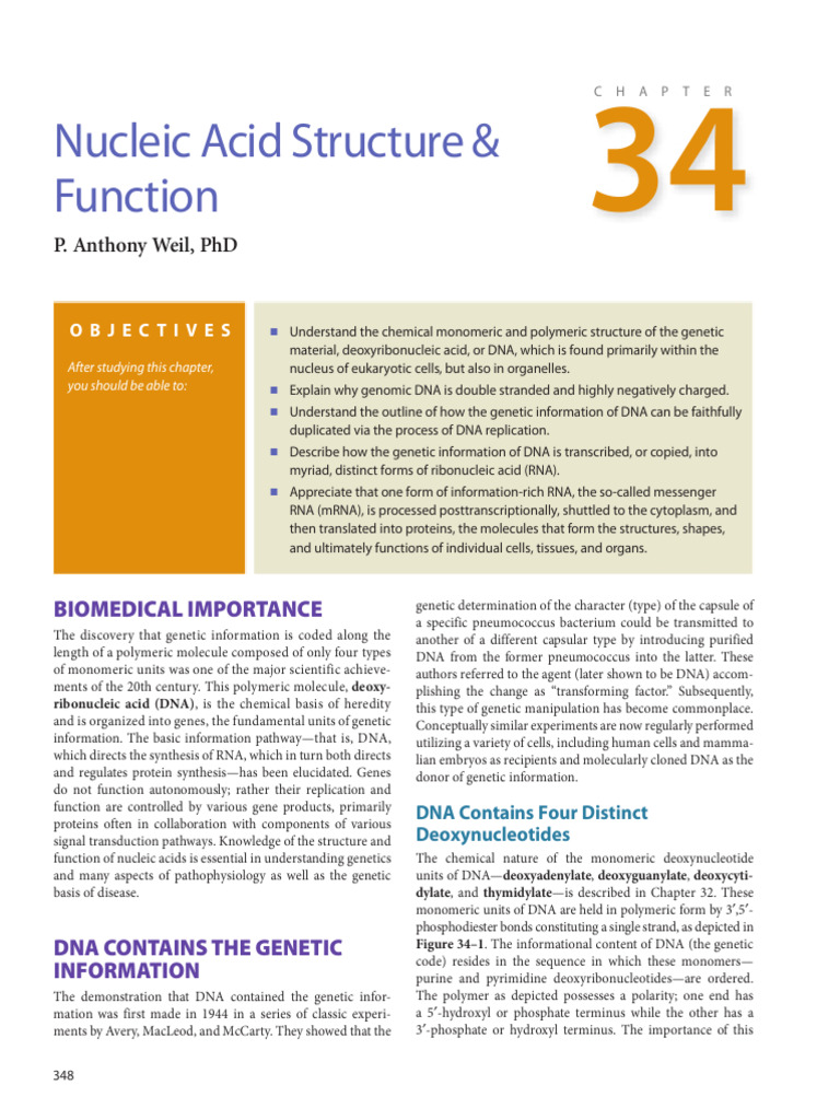 Nucleic Acid Structure & Function | PDF | Rna | Messenger Rna