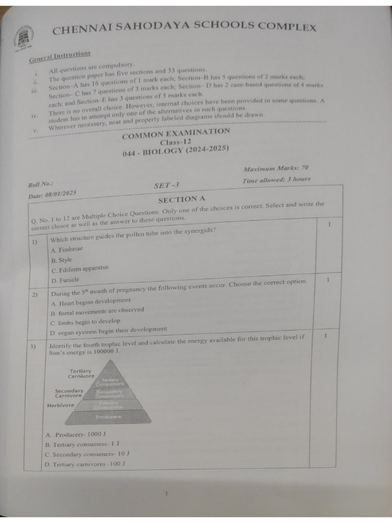 cssc 2024 set 3 | PDF