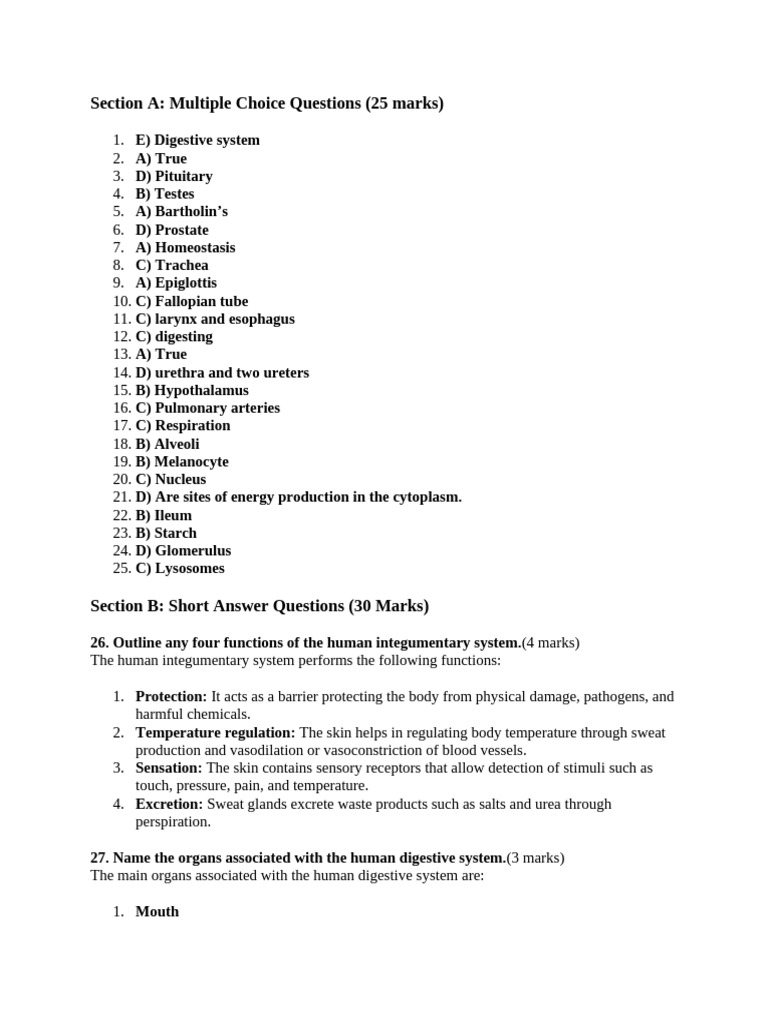 Anatomy Ms | PDF | Blood | Human Body