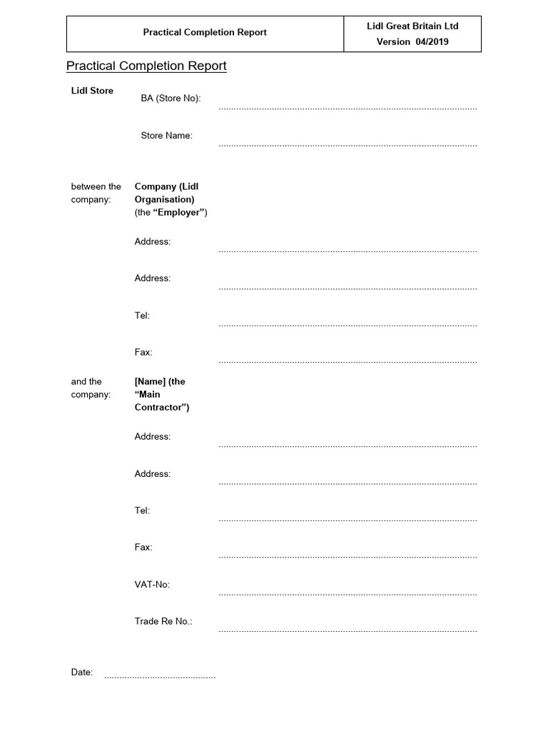 Lidl Practical Completion Report 2019 | PDF