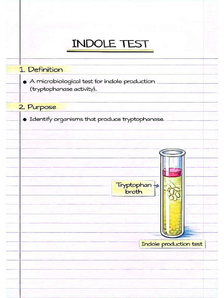 Indole Test | PDF