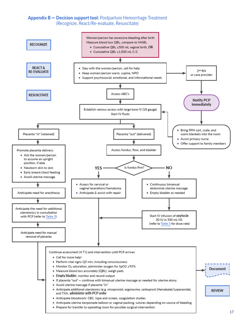 B_2024-12-18_DST 7_Appendix B | PDF | Human Reproduction | Maternal Health