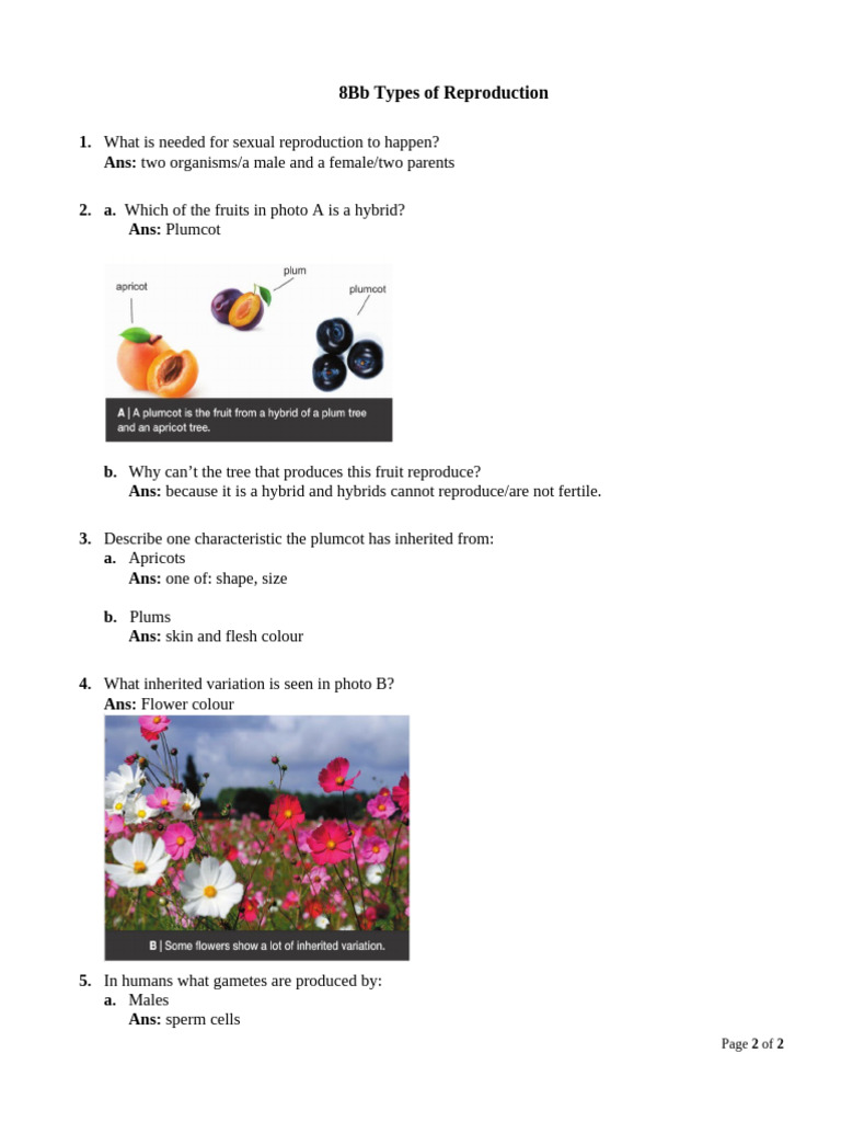 8Bb Types of Reproduction | PDF