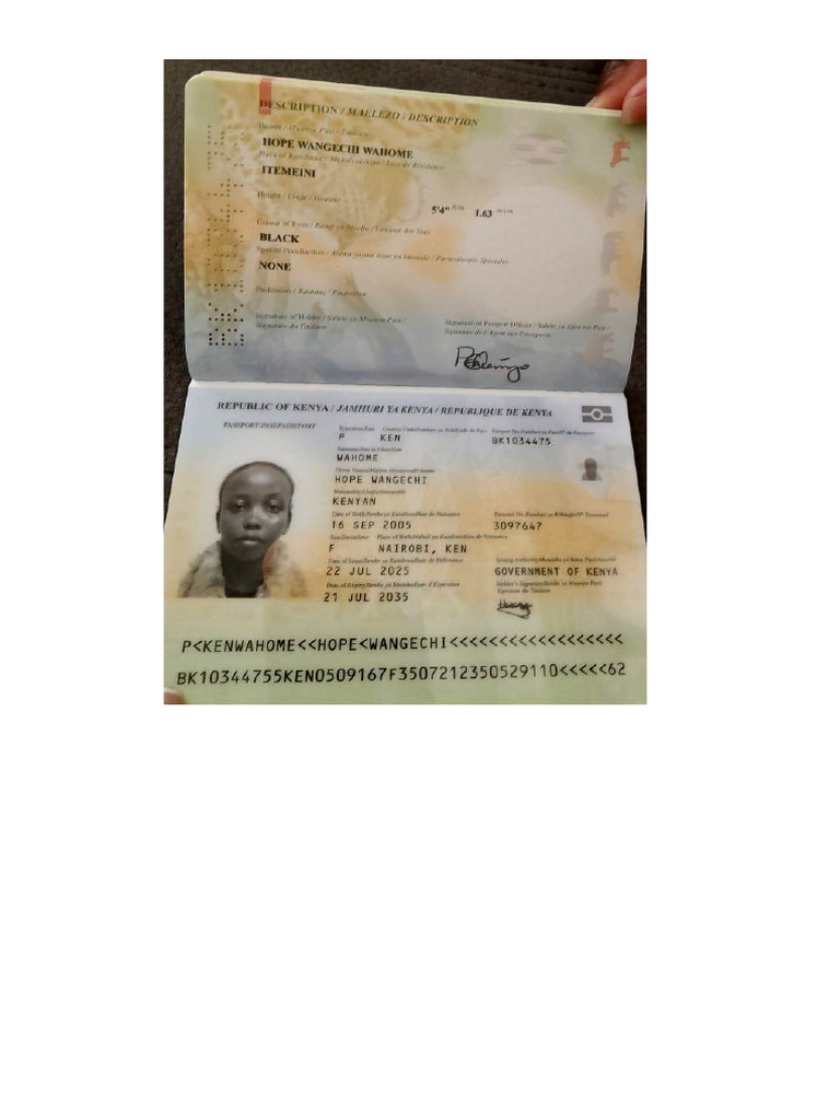 Passport PDF | PDF