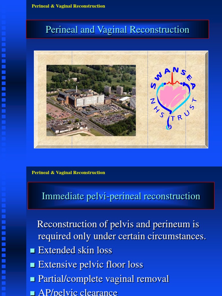 Perineal and Vaginal Reconstruction | PDF | Pelvis | Vagina