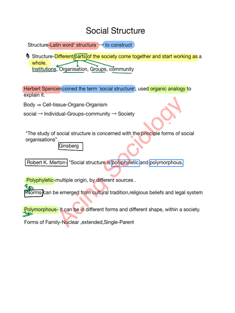 Social Structure | PDF | Society | Behavioural Sciences