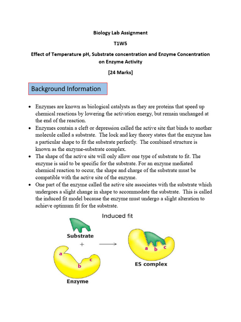 bio lab wk5 | PDF | Active Site | Enzyme
