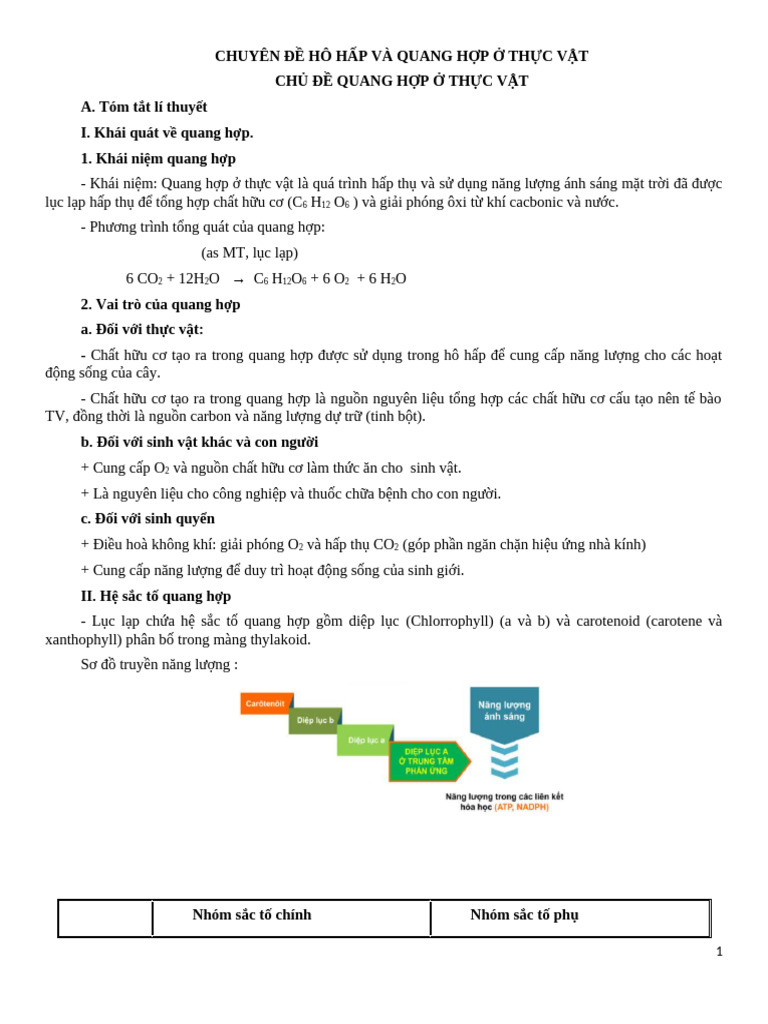 Hsg_sinh Lý Thực Vật | PDF