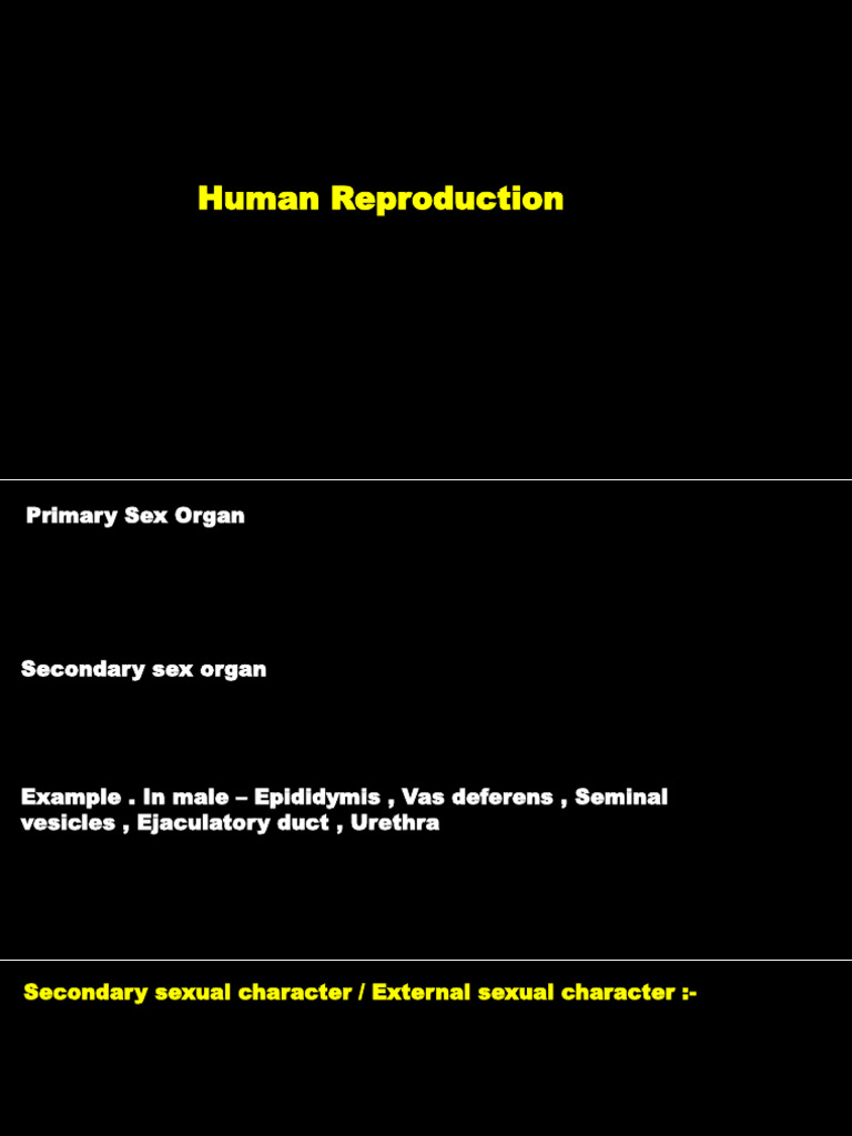 Human Reproduction (Neet) | PDF | Menstrual Cycle | Testicle