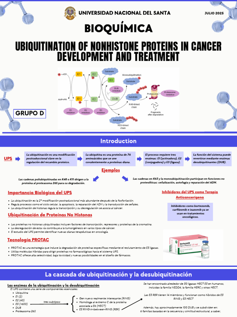 Presentación Proyecto Científico Bioquímica Profesional Violeta y ...