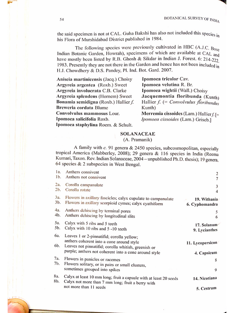 Solanaceae (Florat of West Bengal vol 4) | PDF