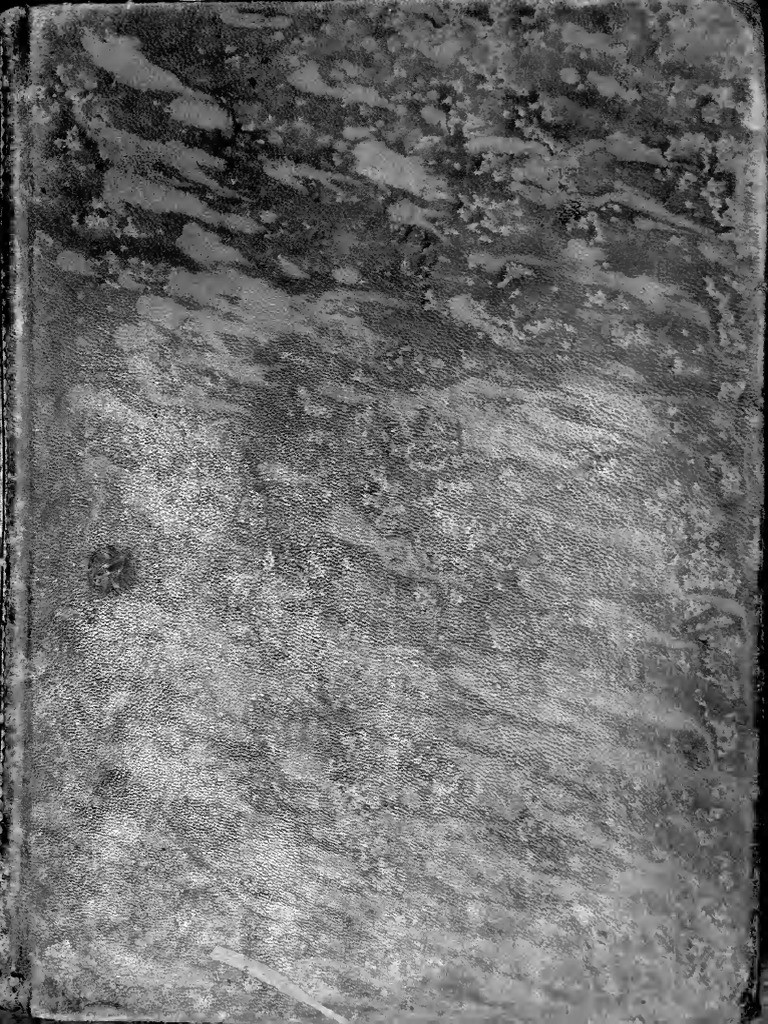 Rey, Fermín Del La Viuda Generosa 1700 | PDF | Espiritualidad | Actitud ...