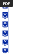 Navy Officer Designator Codes Guide | PDF | Uniformed Services Of The ...