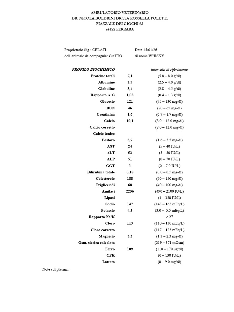 CELATI WHISKY-1 | PDF | Chemical Substances | Metallic Elements