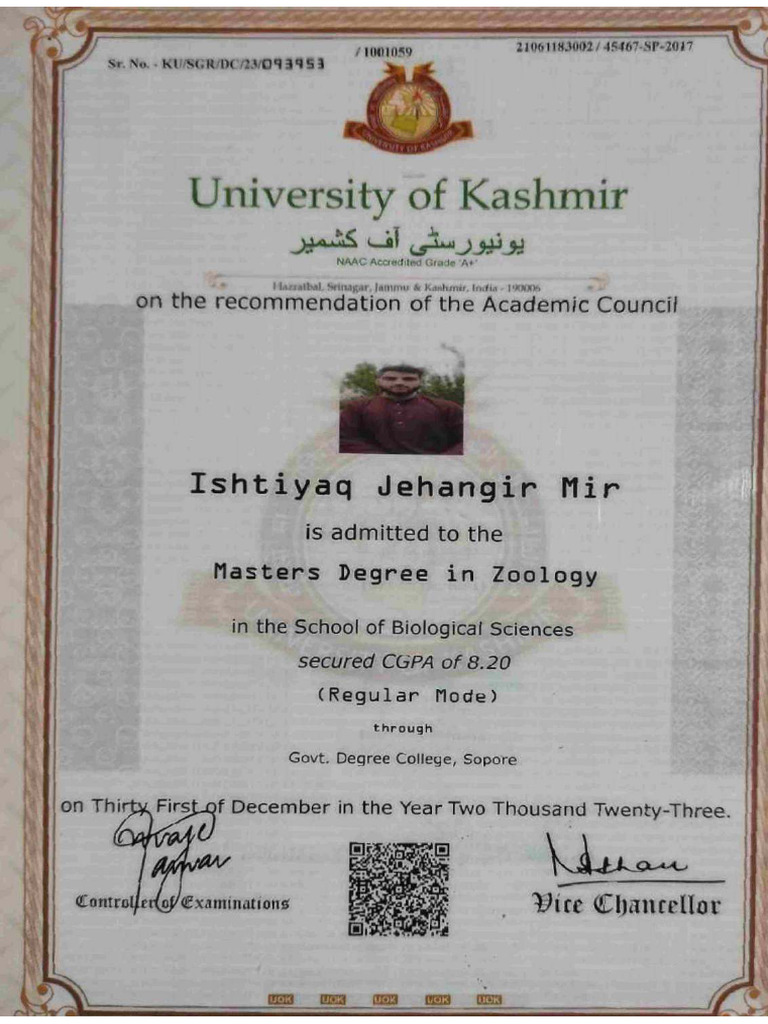 Pg Degree Certificate | PDF