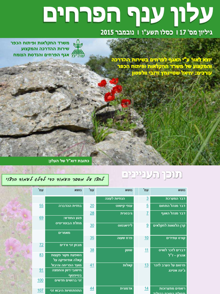 Professional Information Flower Leaflet Flower Leaflet 17 | PDF
