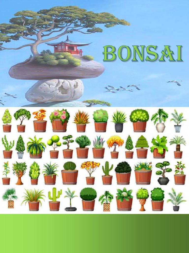 Bonsai | PDF | Pruning | Bonsai