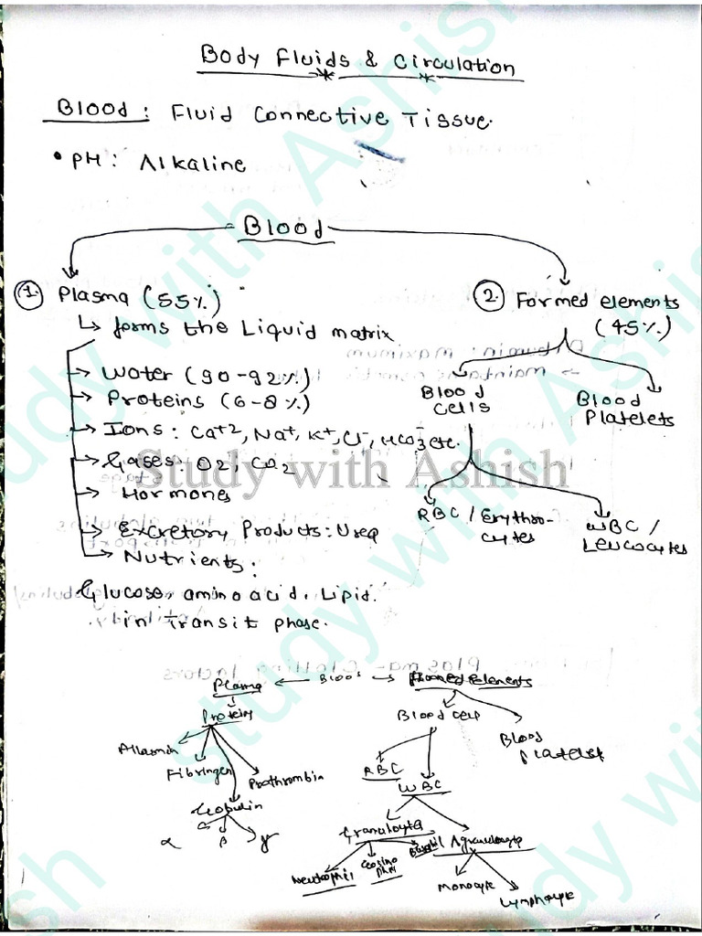 Body Fluids and Circulation | PDF