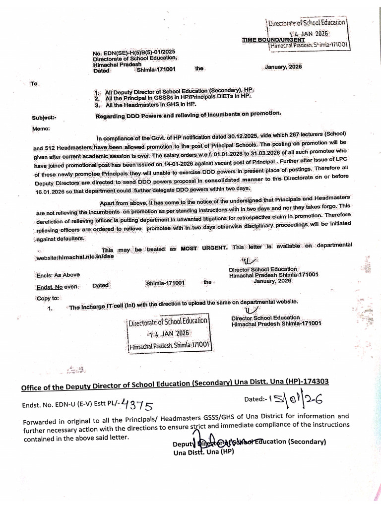 1226389397_Regarding DDO Powers and Relieving | PDF