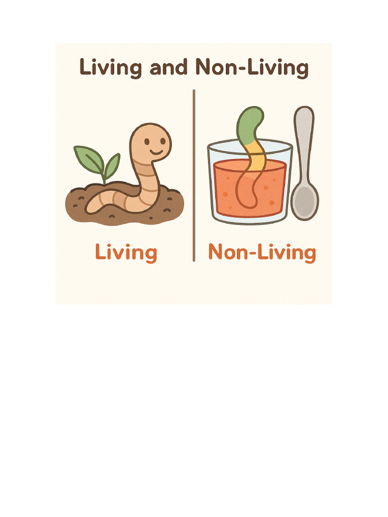 Living vs NonLiving Worm Activity Final | PDF