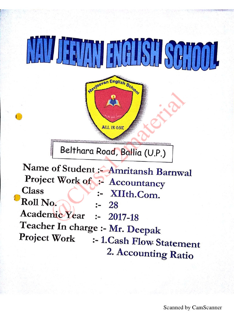 Accountancy Project | PDF
