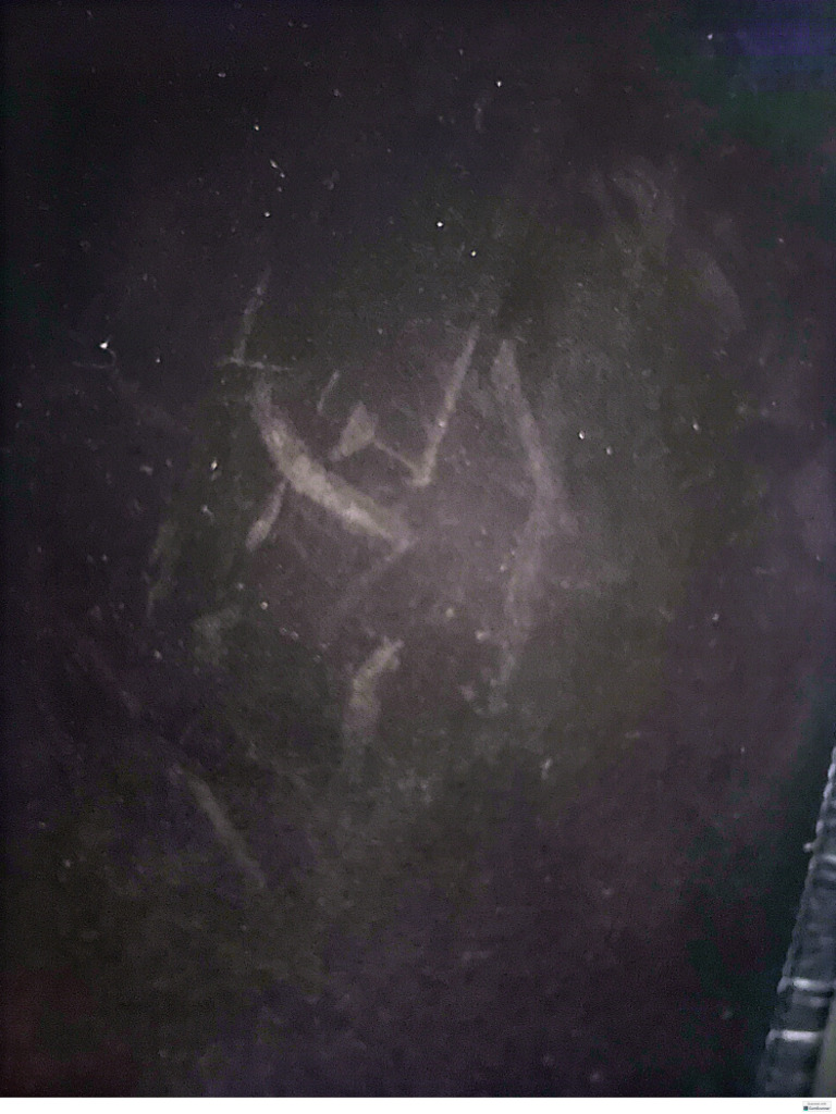 CamScanner 2026-01-17 08.22 2 | PDF