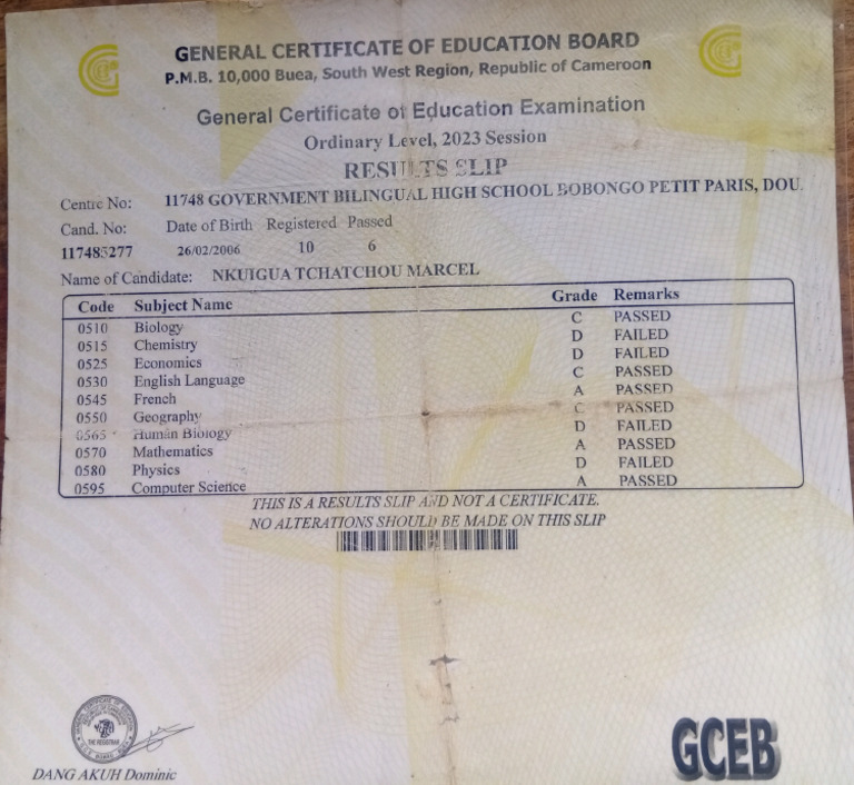 Gce Ordinary Level | PDF