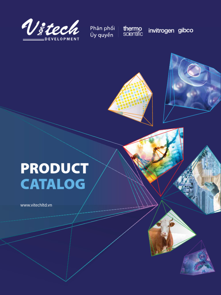 Catalog Vi Tech 202501042025 M | PDF