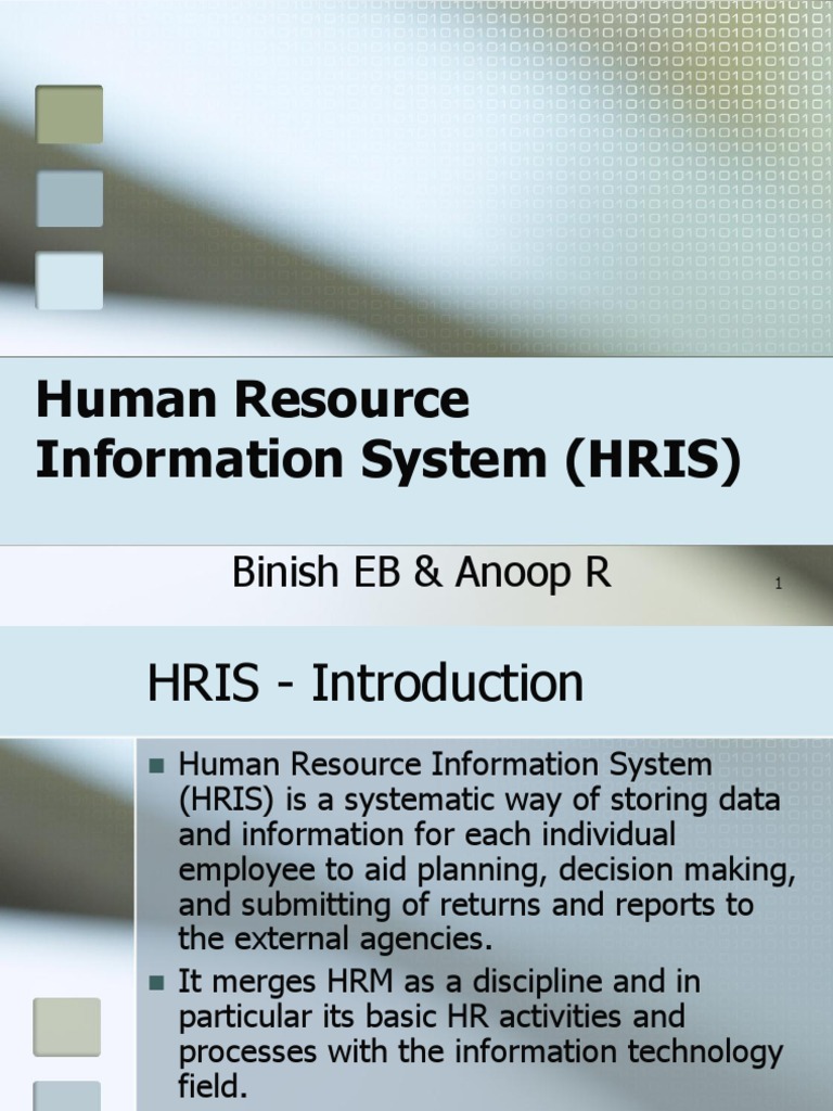 MIS Presentation | PDF | Human Resource Management | Information Technology