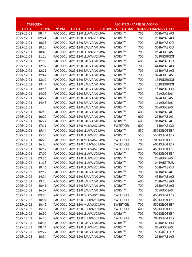 2024_9._INCIDENCIAS_1_20251210083803 | PDF