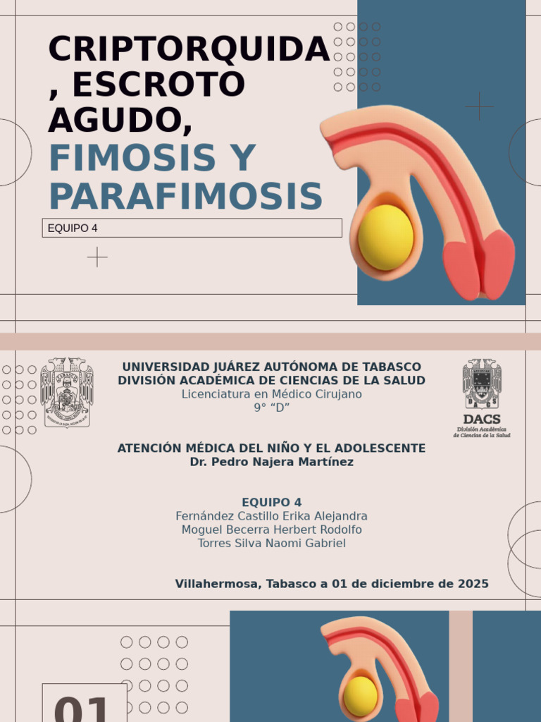 E4_Criptorquidia, escroto agudo, fimosis y parafimosis (1) | PDF ...