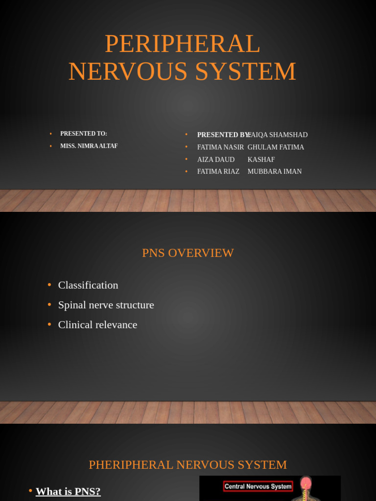 Peripheral nervous System 77 | PDF | Nervous System | Primate Anatomy